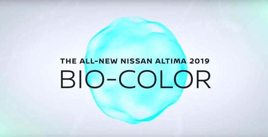 Biocolor Logo