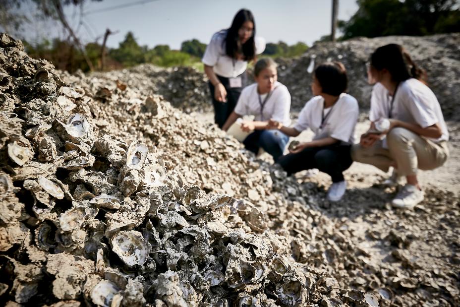 Team “TA” and Team “Mitr” consider repurposing oyster shells - waste ...