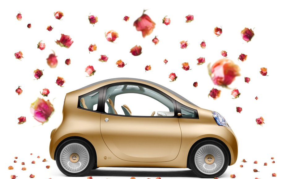 Nissan Nuvu Concept Press Kit: Overview