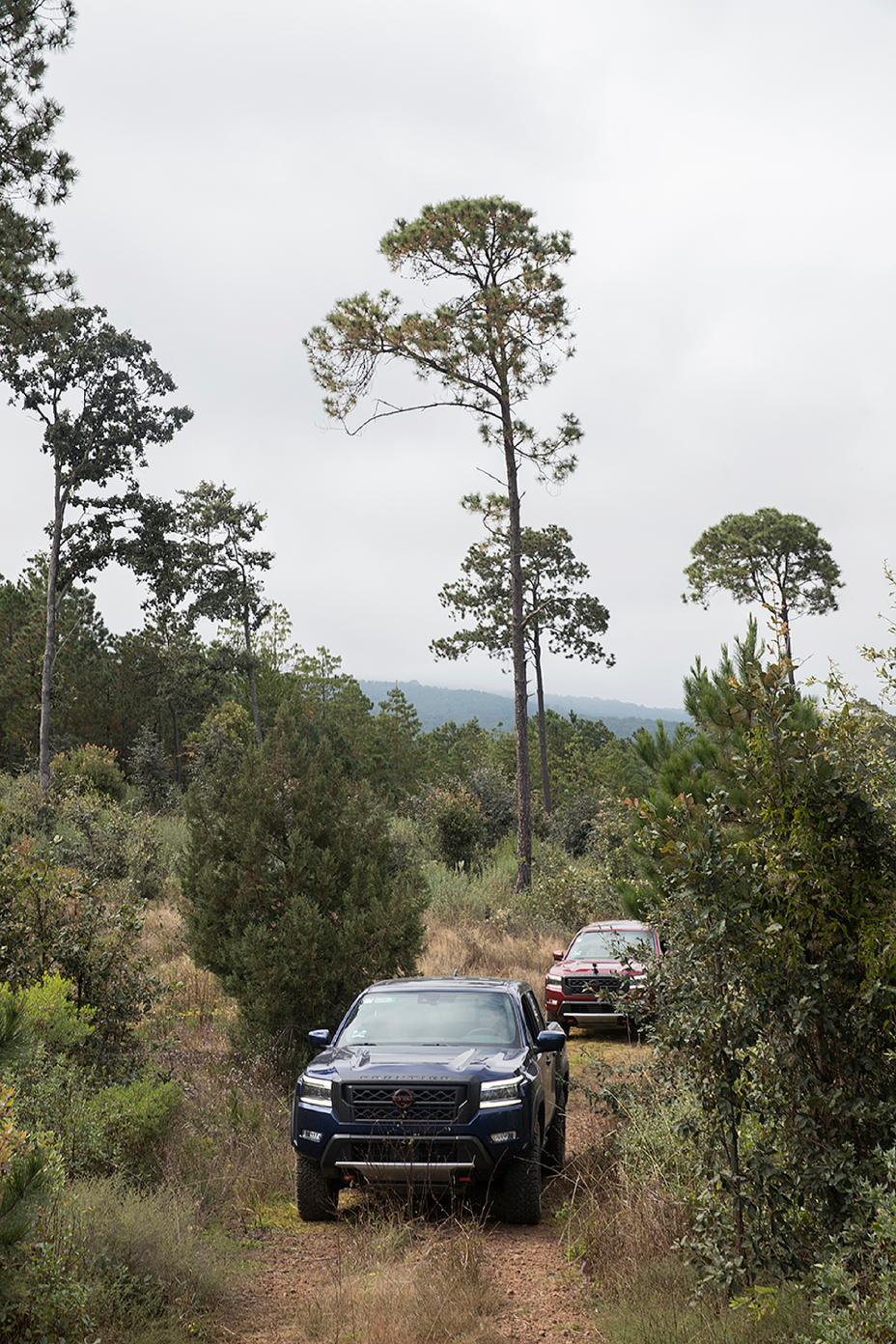 Nissan Frontier V6 PRO-4X, con la mejor ofensiva de equipamiento y ...