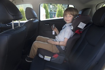 Henry, the "Emotional Environmentalist"